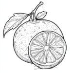 41 Disegni arancia da colorare | Scatena la tua Creatività!