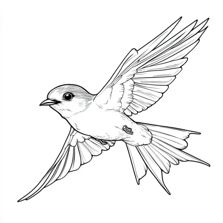 27 desenhos de baleias para colorir e imprimir gratuitamente