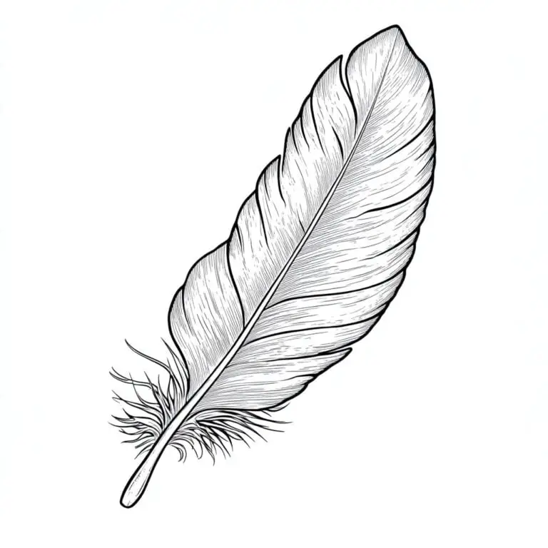 21 Disegni piume da colorare: PDF stampabili gratuiti
